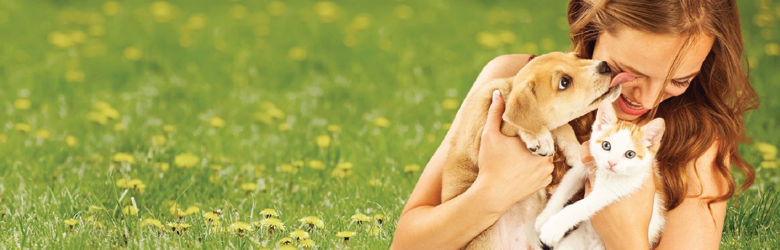 Ourvets Halswell Veterinary Clinic - 393 Halswell Road, Halswell