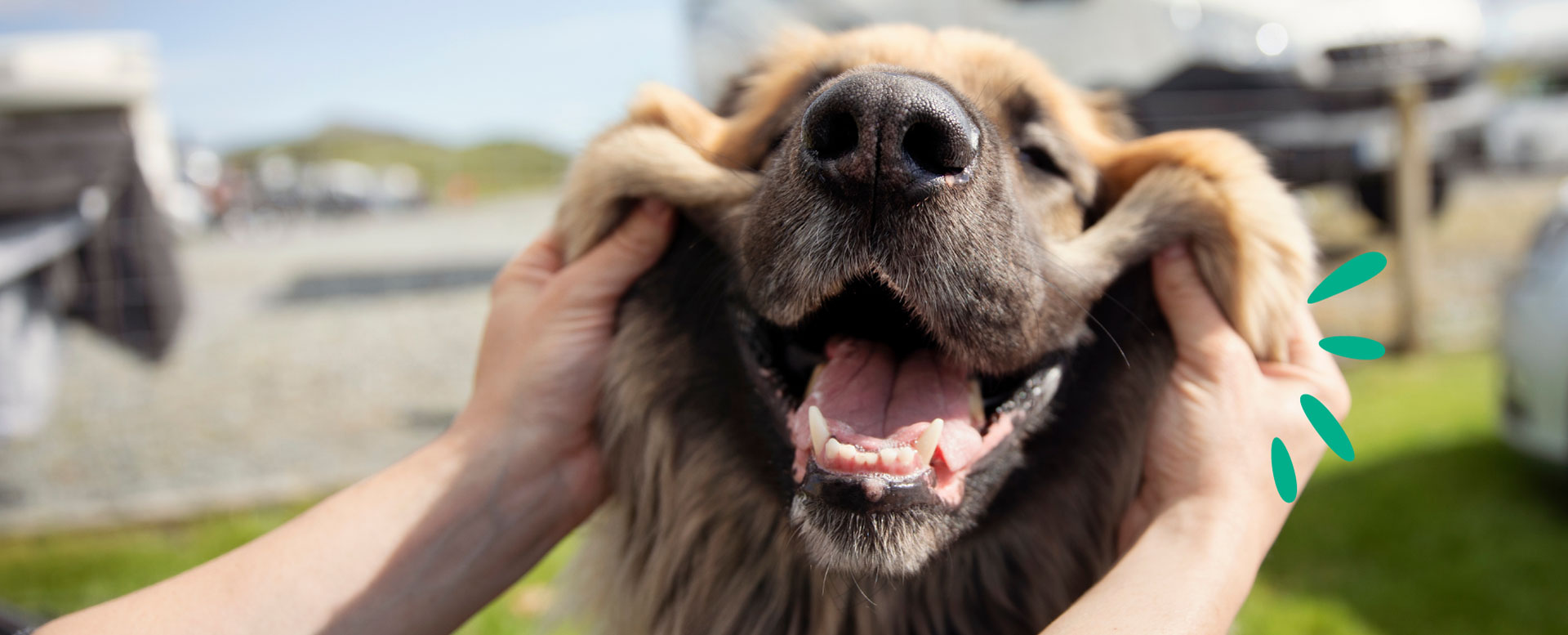 Ourvets Halswell Veterinary Clinic - 393 Halswell Road, Halswell